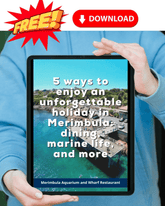 Merimbula Aquarium & Wharf Restaurant | Dine, Explore, Celebrate ...