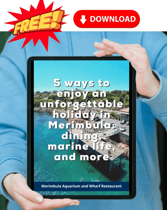 Merimbula Aquarium & Wharf Restaurant | Dine, Explore, Celebrate ...