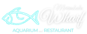 Merimbula Aquarium & Wharf Restaurant | Dine, Explore, Celebrate ...