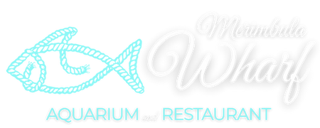 Merimbula Aquarium & Wharf Restaurant | Dine, Explore, Celebrate ...