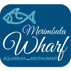 Merimbula Aquarium & Wharf Restaurant | Dine, Explore, Celebrate ...